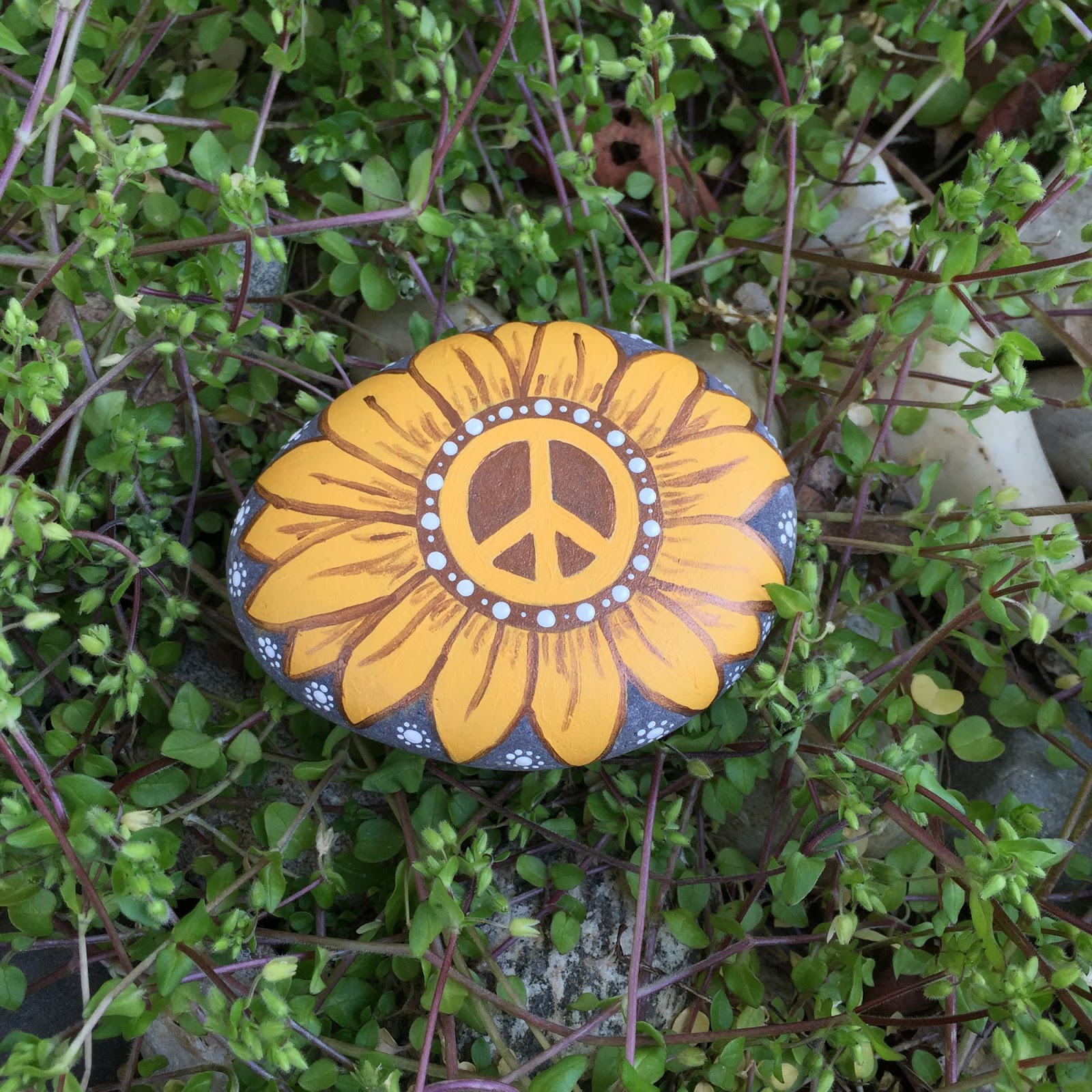 Peace Rocks: 2016