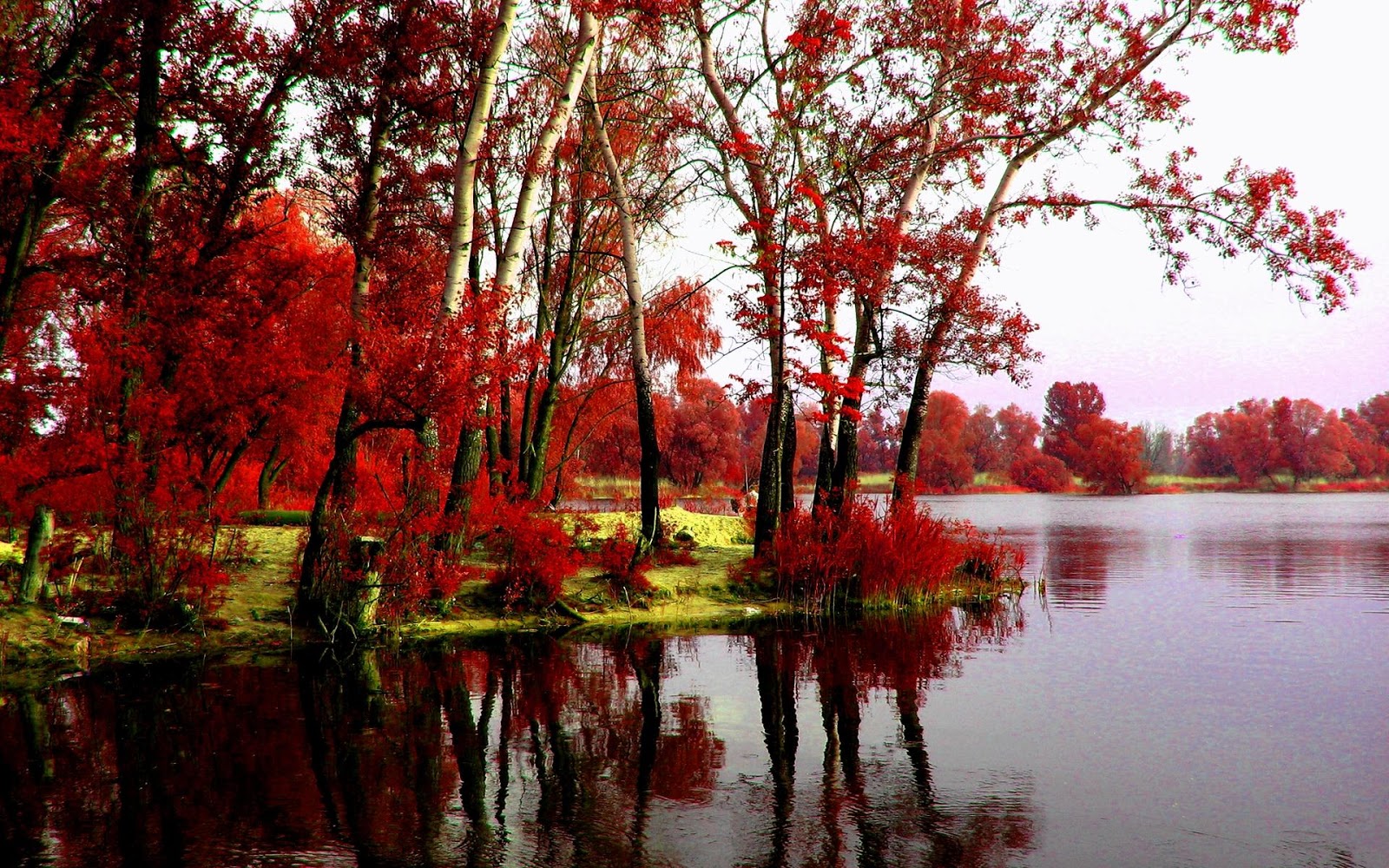 IMAGENES DEL AGUA EN LA NATURALEZA: IMAGEN DE ARBOLES ROJOS JUNTO AL RIO