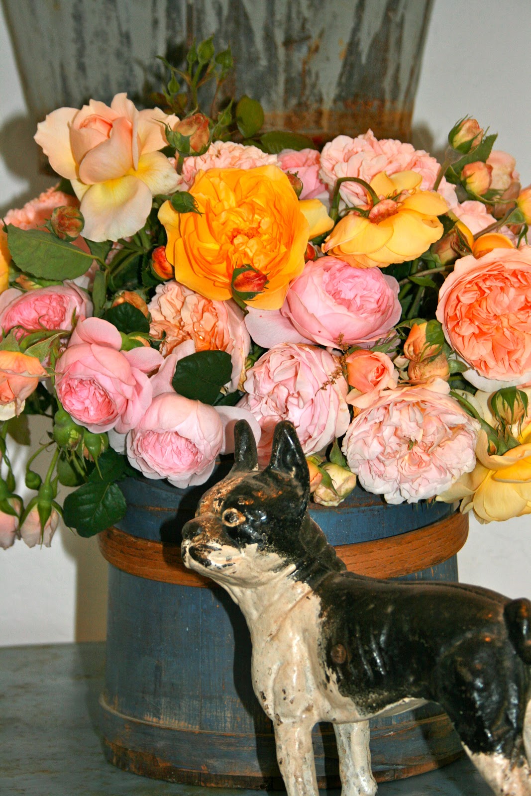 The Polished Pebble: Buckets I Have Loved