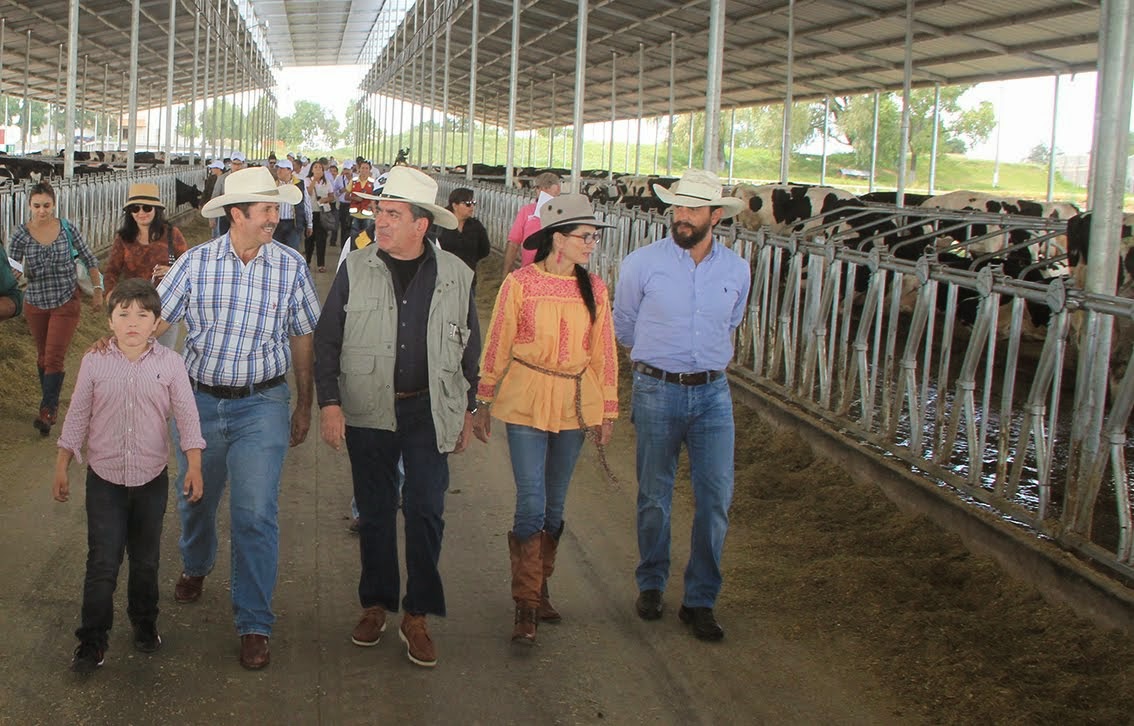 Quienes la vieron decaer admiran la recuperación de la agroindustria en ...