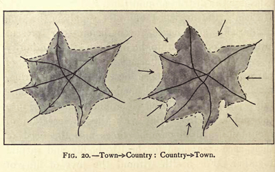Recuperando a Patrick Geddes | TERRITORIO URBANO