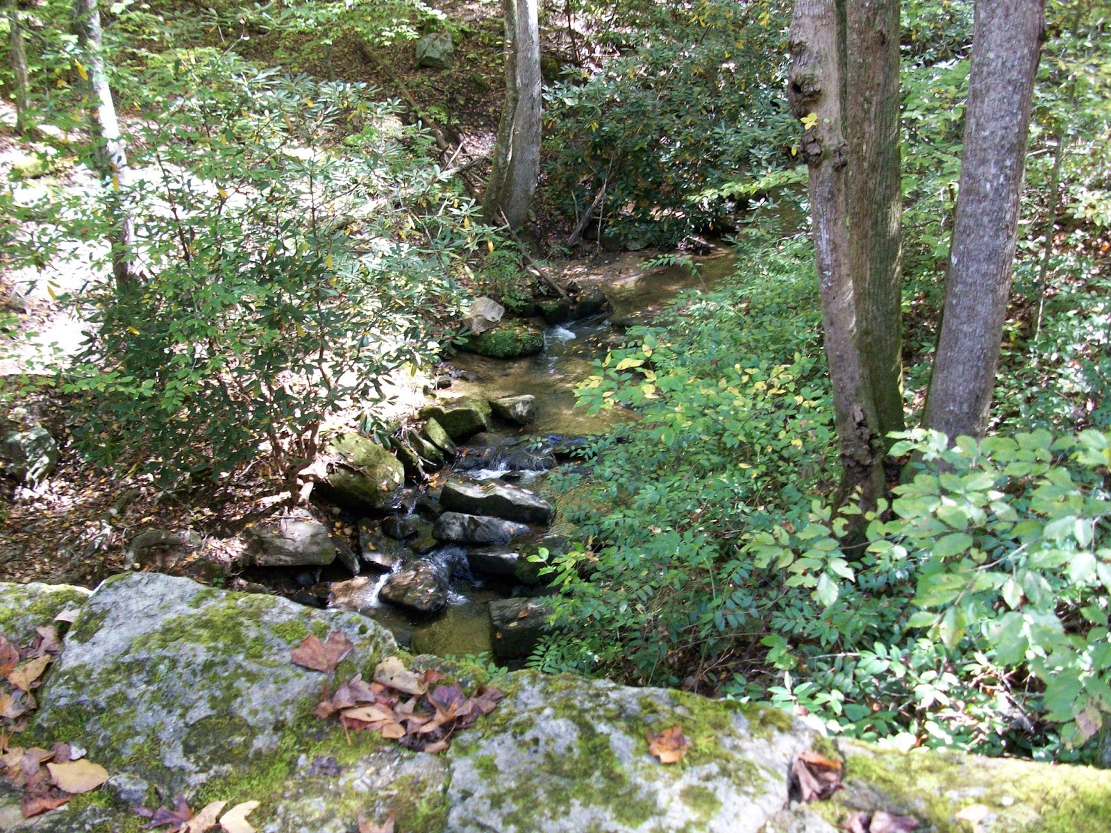 Ric's Travels: Tour of The Dark Corner in South Carolina