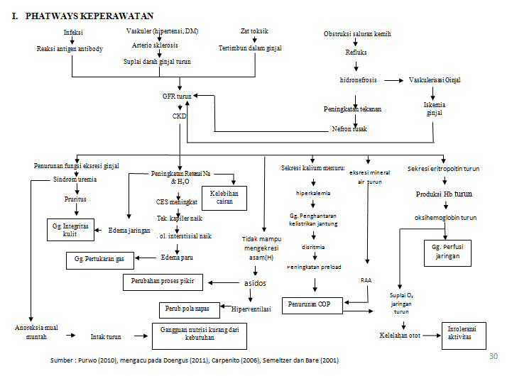 Indrajaya Pathways Ckd