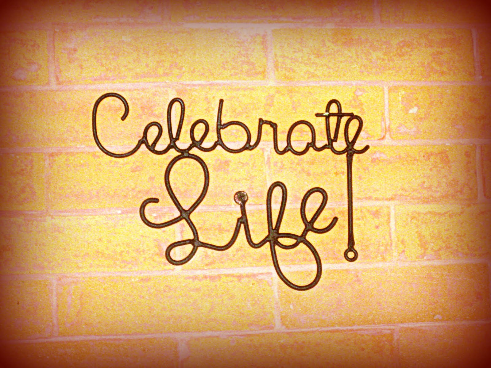 barbiejhaki.com: Celebrate Life... (",)
