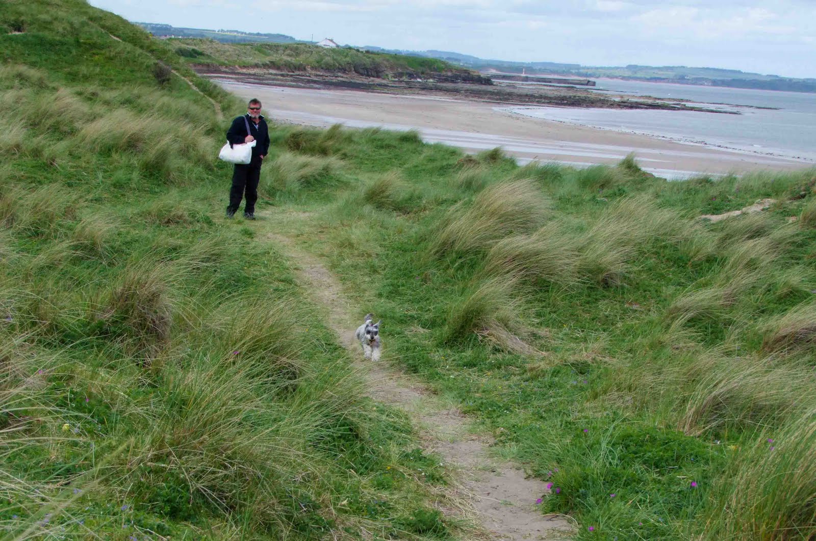 Etoile - Sailing round Britain with a Dog: May 2011