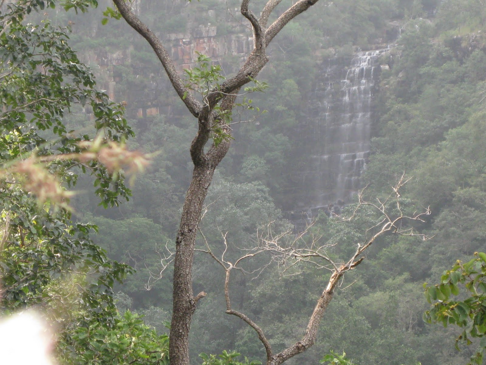 Talakona Water Falls
