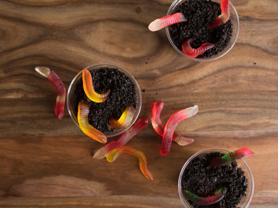 BACT Blog: Fly Guy's Favorite Dessert: Dirt Cake