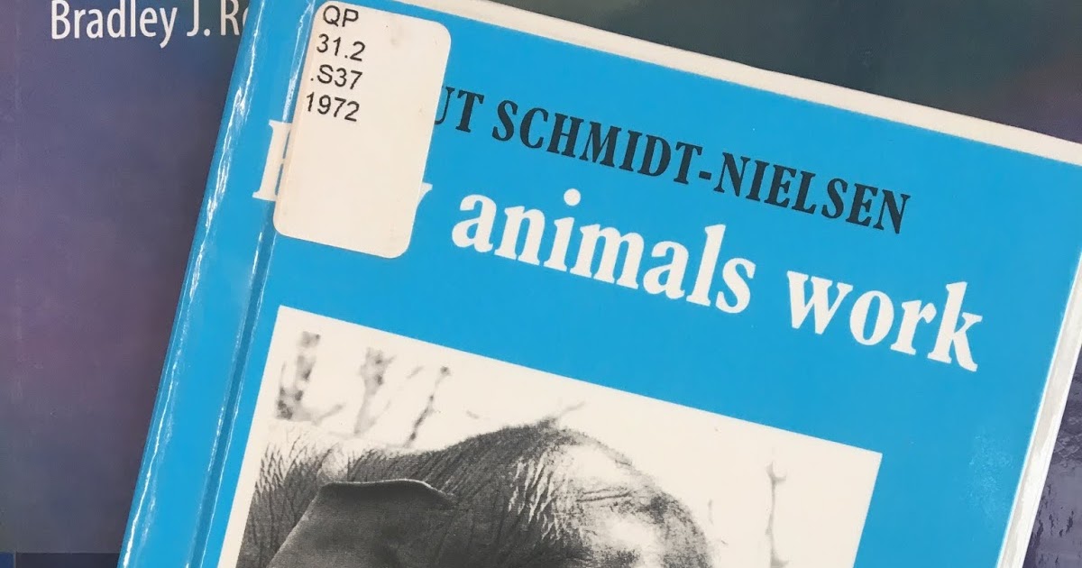 Intermediate Physics for Medicine and Biology: Countercurrent Transport ...