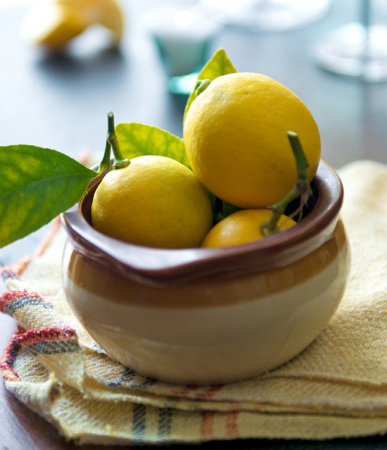 Les bienfaits du citron - Wild Neighborhood