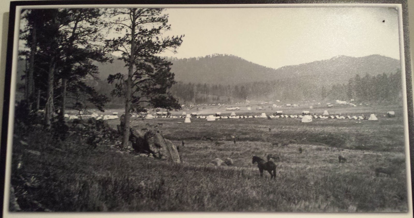 Cowboy Kisses: Custer's 1874 Black Hills Expedition