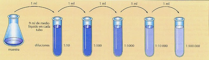 Microbiología: Número más probable (NMP)
