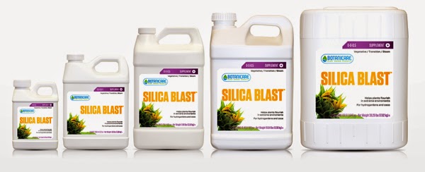 Benefits Of Silica In Plants | Organic Growers Information Blog