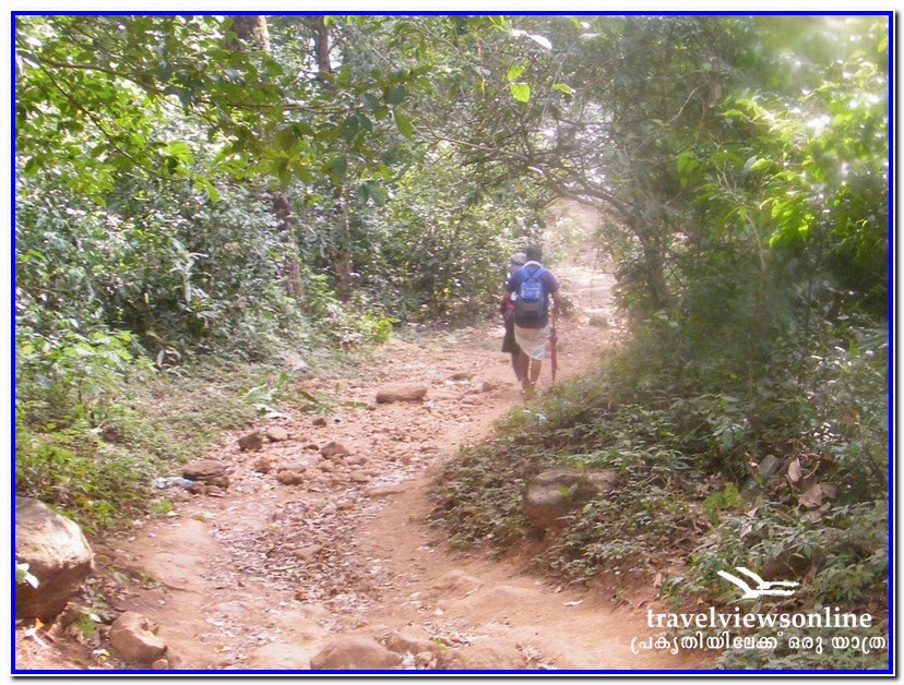 പ്രകൃതിയിലേക്ക് ഒരു യാത്ര (a travel towards NATURE): PULLUMEDU a unique ...