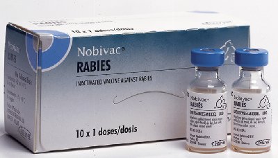 BIOLOGY WRITE-UP - BIOLOGY ARTICLES: THE RABIES" meaning, causes ...