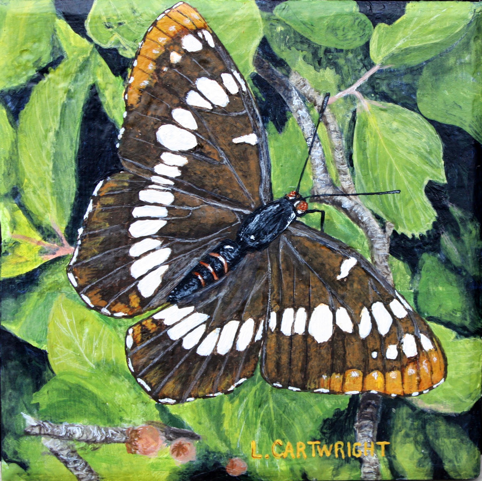 Cartwright Art Studio: May 2014