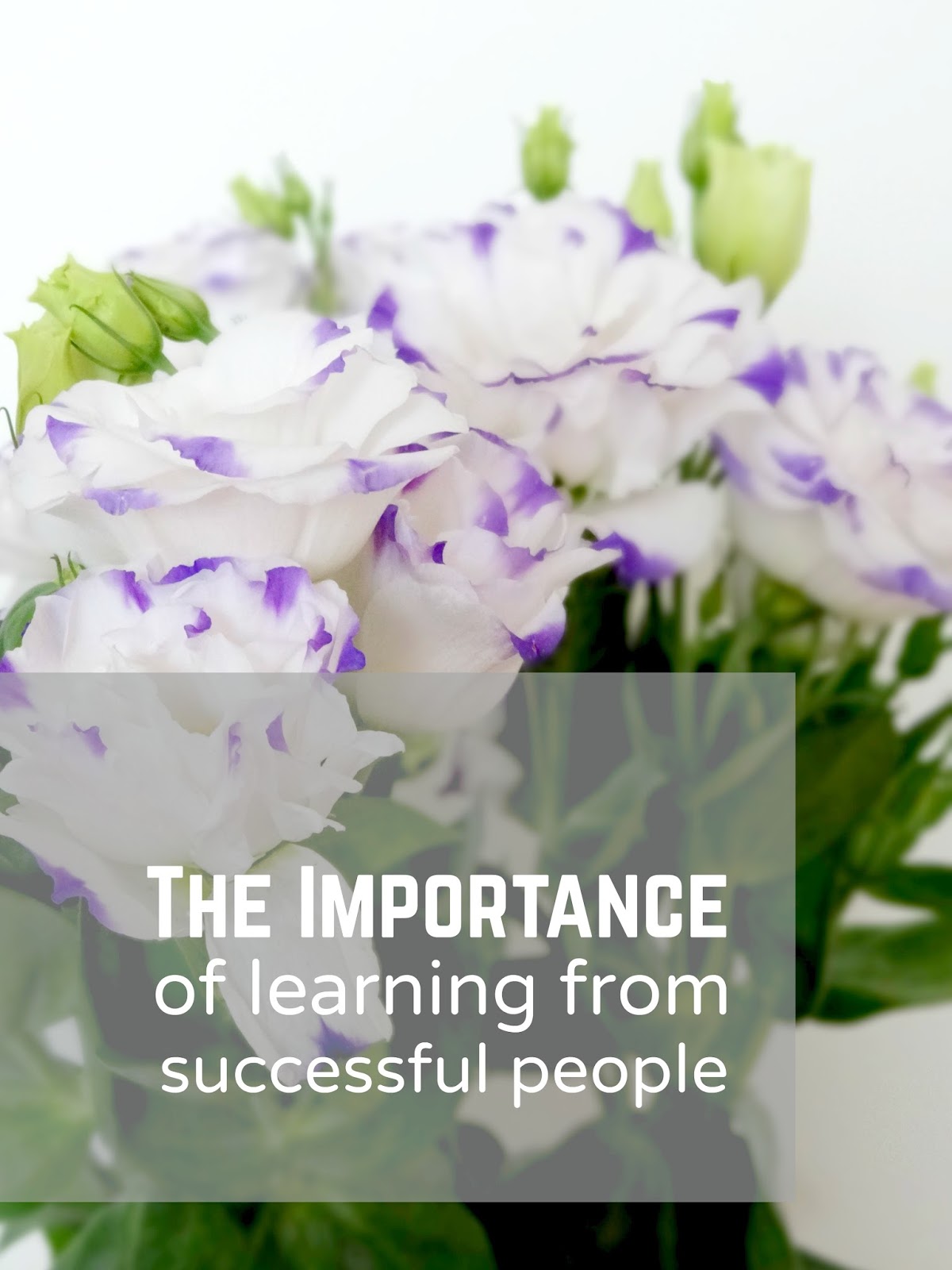 Why It's Important To Learn From Successful People - The Nerdy Me