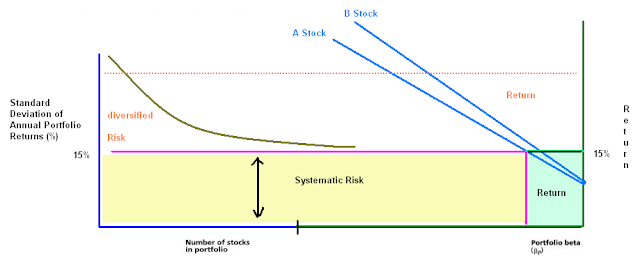 Systemic Risk vs Systematic risk | Accounting Education