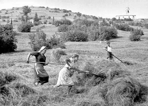 Memorial do Tempo: Julho 2014