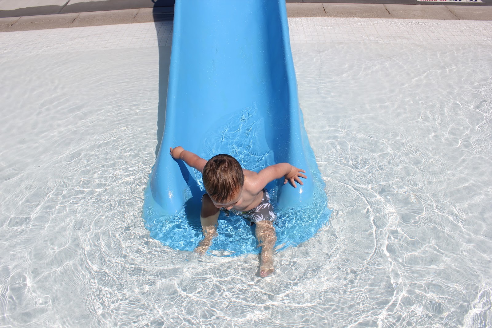 Beginning Families 1010