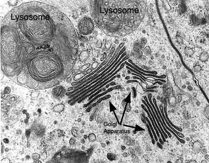 November 2013 - Frens