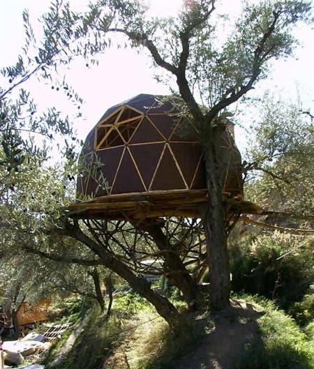 Extremely distinct expensive tree houses - twenty ranking