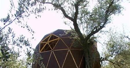 Extremely distinct expensive tree houses - twenty ranking