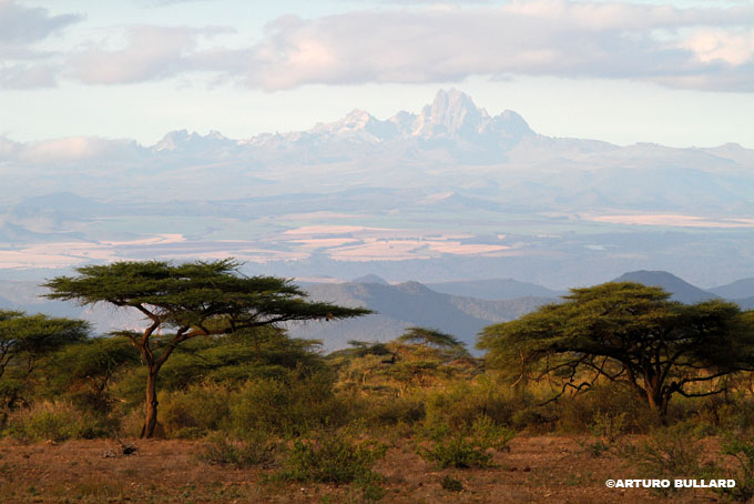 Monte Kenia, Mirando la Selva desde un Balcón (Kenia P3) : Viajes ...