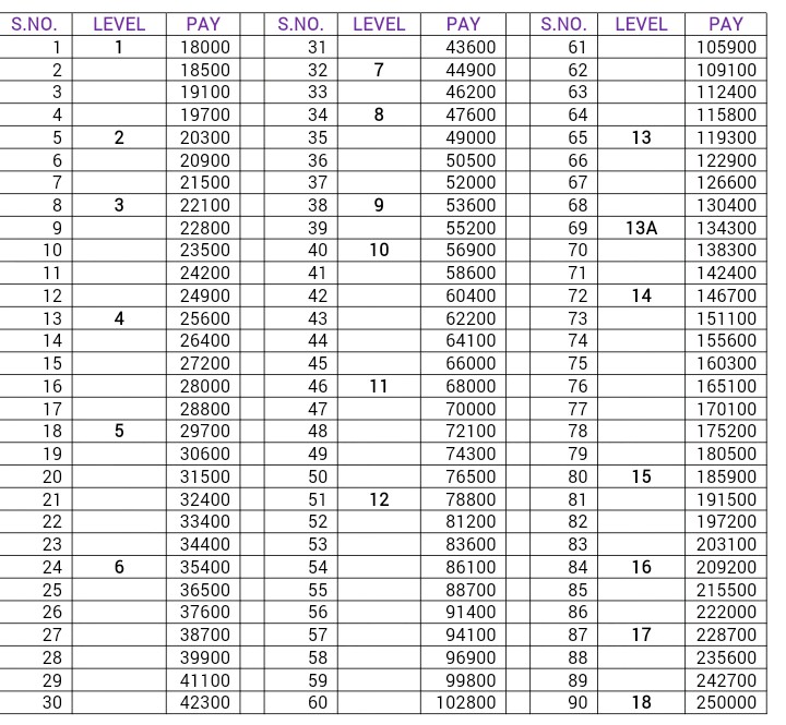 SIMPLIFIED PAY MATRIX SUGGESTED BY RAKESH BAL GAUTAM's - DELHI SCHOOL ...