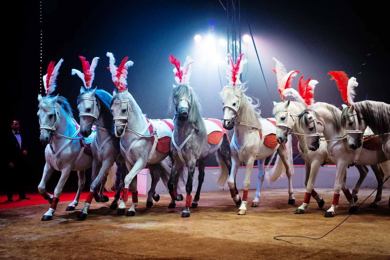 circus: John CAPLOT (photos de Didier Houisse)