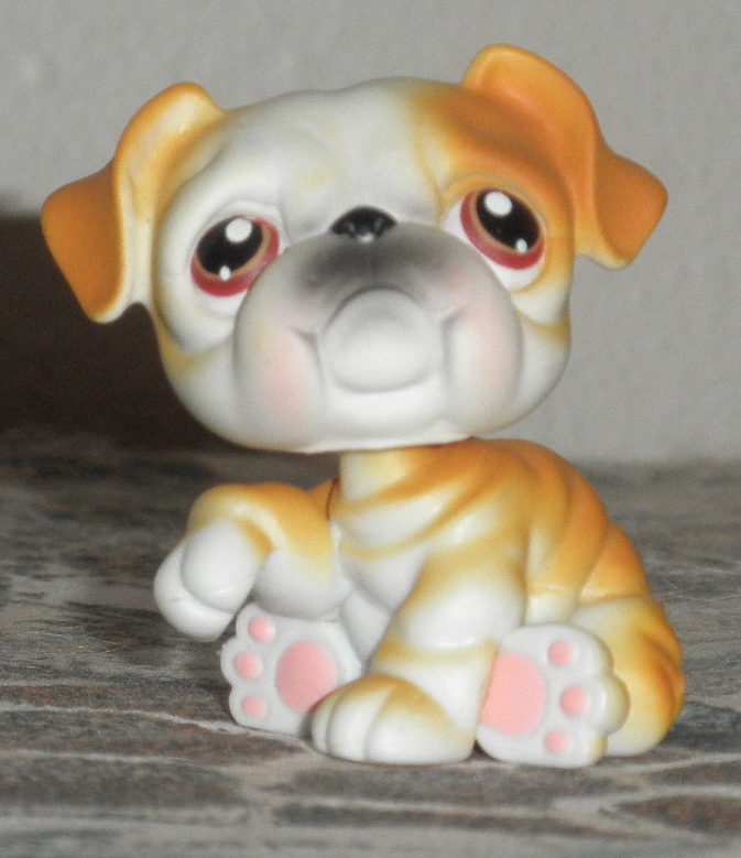 Collectomania: LPS Dogs Part 1