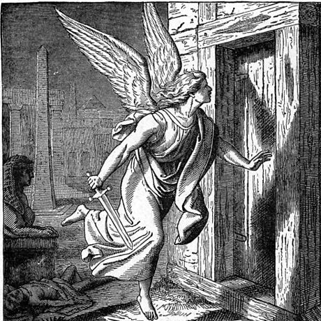 †MIGHTY WARRIOR BLOG † : The blood of Jesus is the life of all vital ...