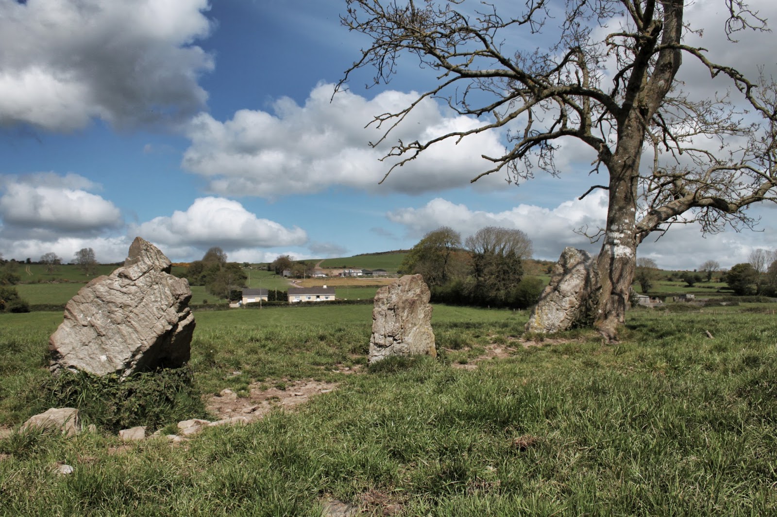 Historic Sites of Ireland: Castletown Stone Row / Alignment