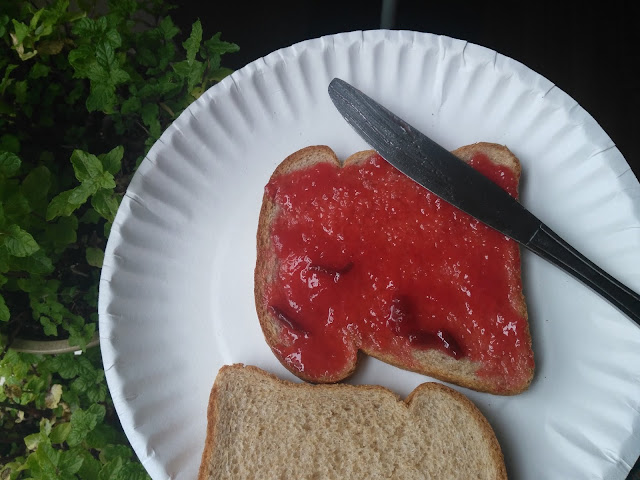 PLUM JAM / PLUM PRESERVES /PLUM CHUTNEY/ How to make basic fruit jam ...