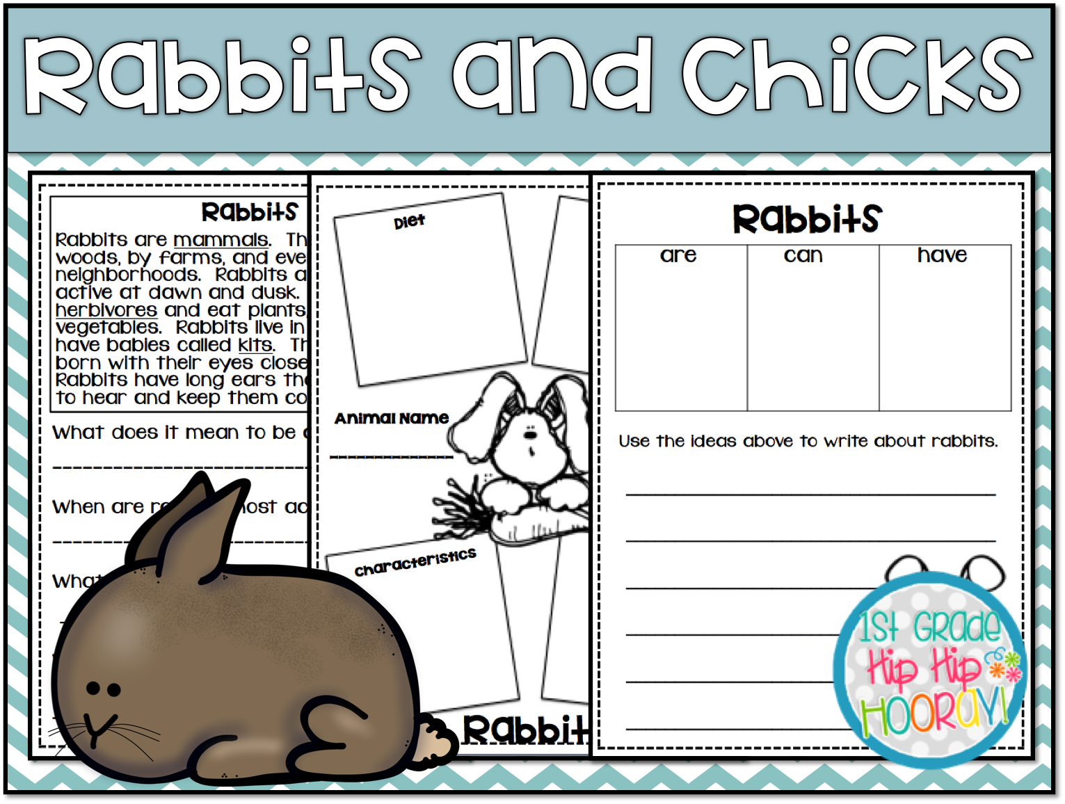 1st Grade Hip Hip Hooray!: Chicks and Bunnies...Informational Text ...