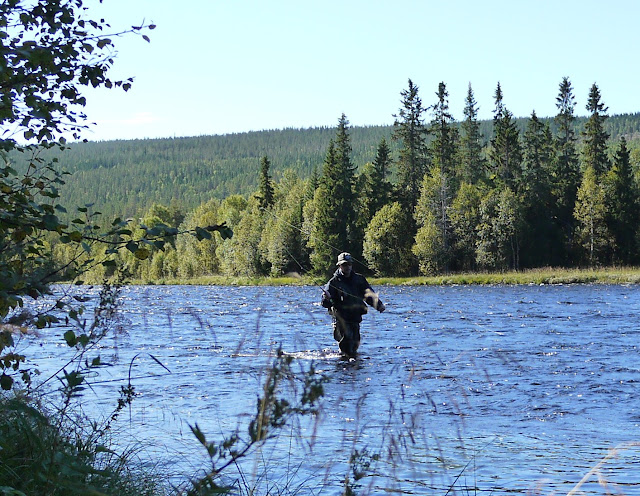 Kläckarens Flugfiskeblogg: Femundselva med Johan Klingberg