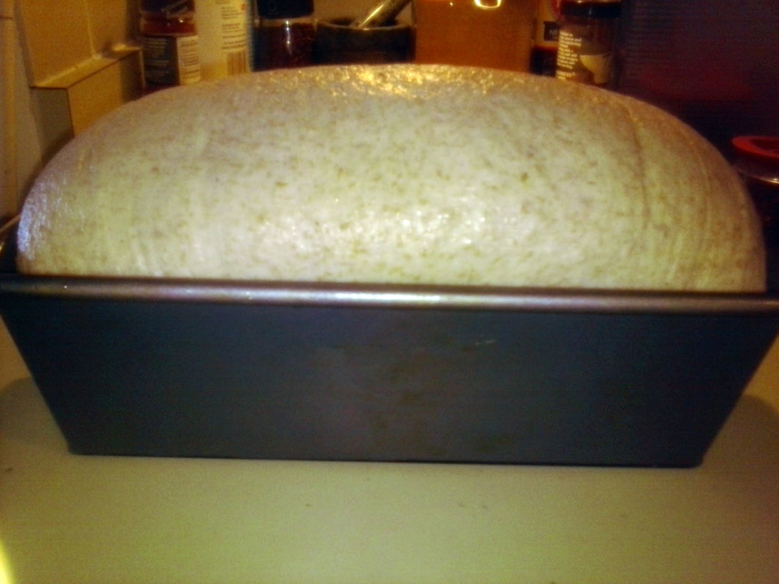 Half Whole Wheat Sandwich Bread (Sourdough) | Joybee, What's for Dinner?