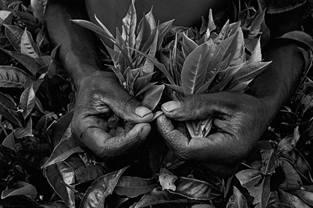 Sebastião Salgado: The Modern Face of the Worker