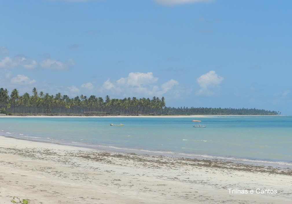Rota Ecológica em Alagoas: o que fazer, além de descansar | Trilhas e ...