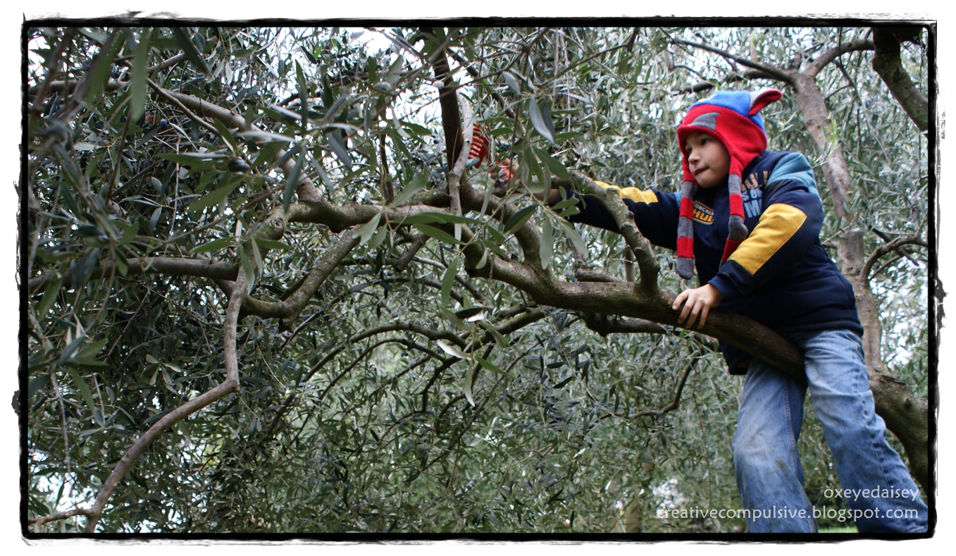 Creative Compulsive: November 2012