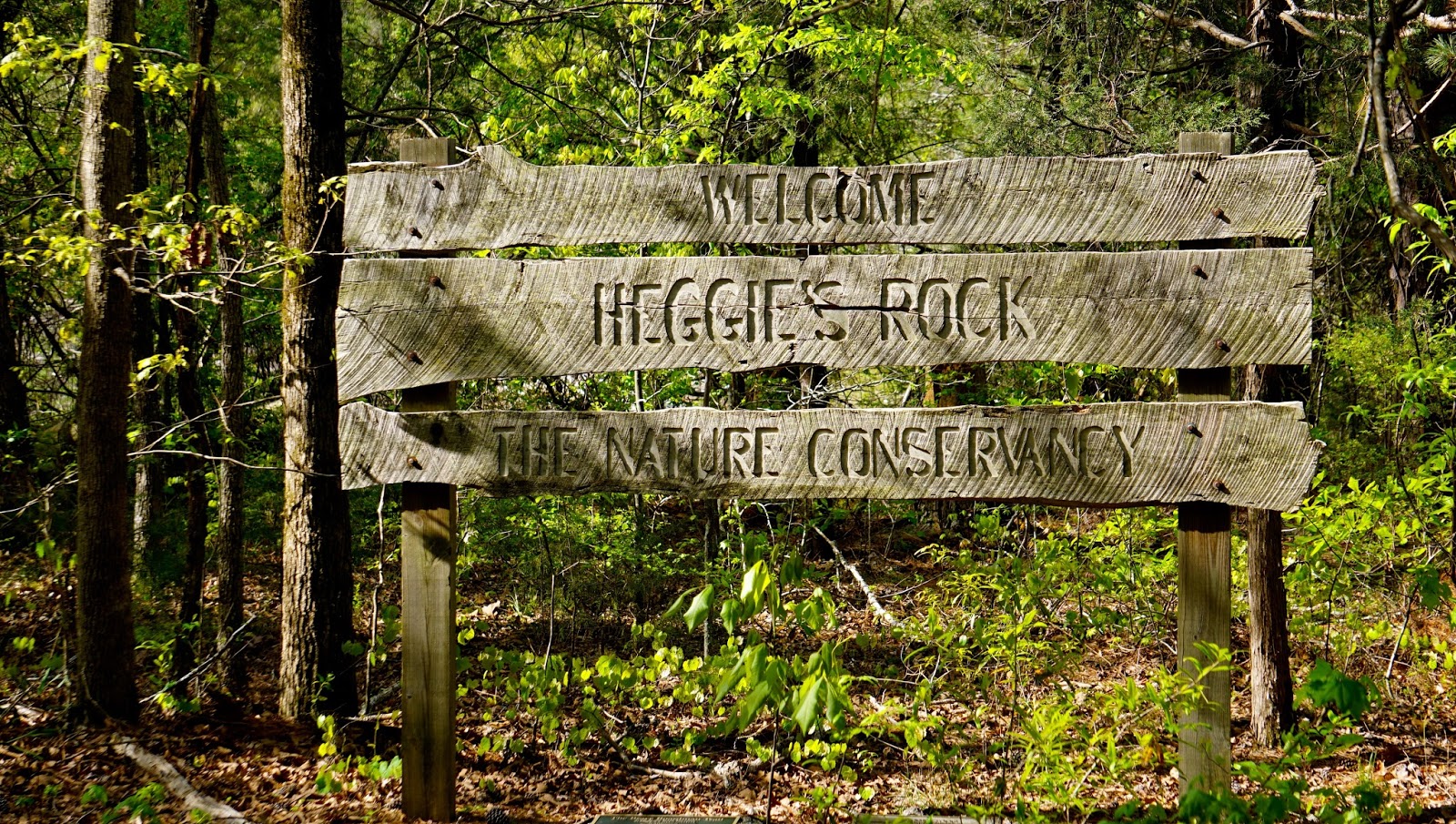 Butterstone : Heggie's Rock