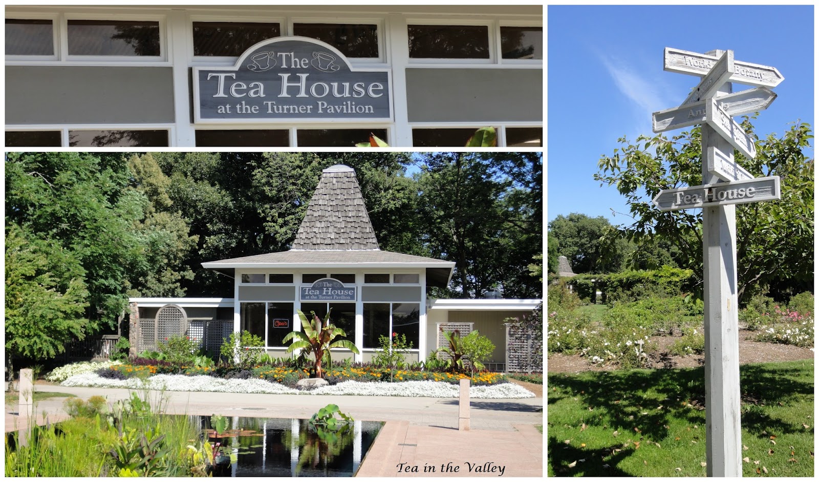 Tea in the Valley: Stopping to Smell the Roses...and the Corpse Flower?!?