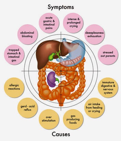 stomach gas and flatulence: What Are Gas and Flatulence?