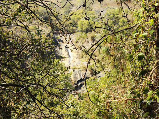 Tamilnadu Tourism: Kalhatti Falls, Ooty