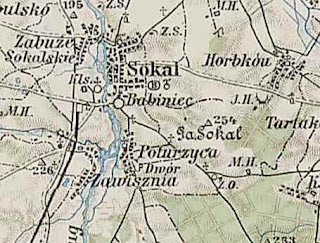 Anabase Jaroslava Haška: Carnage by Sokal