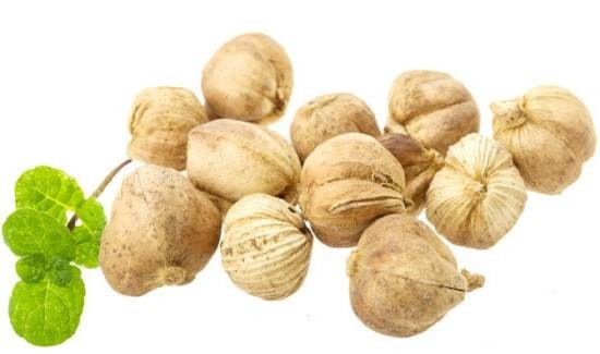 SIMPLISIA FARMAKOGNOSI LENGKAP: FRUCTUS