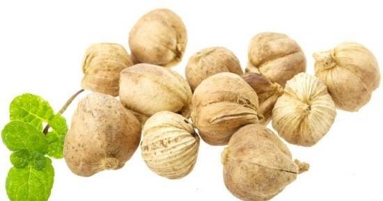 SIMPLISIA FARMAKOGNOSI LENGKAP: FRUCTUS