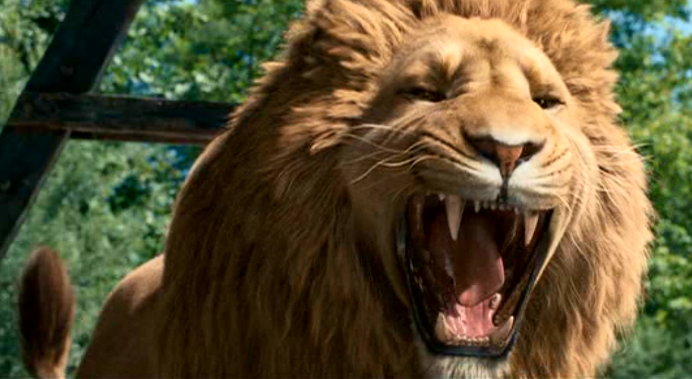 O rugido do leão ~ Blog da Adoradora Joyce