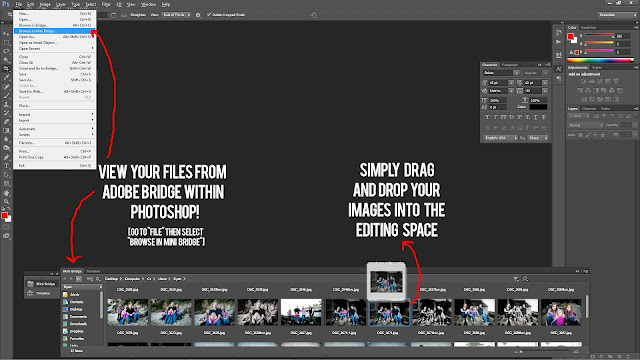 Ryan Daley Photography San Diego, CA: A Preview of the new Adobe ...