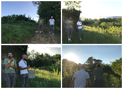 Marco Cecchini e la sua Independent Winery in Friuli - Wine Blog Roll ...