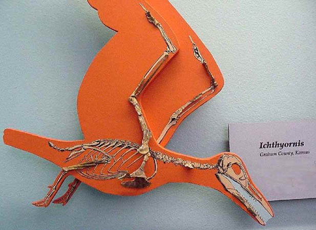 Extinct Animal of the Week: Ichthyornis Over the Ocean